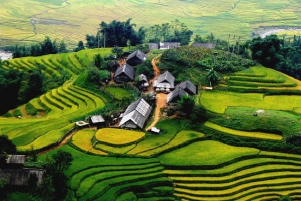 rizieres-a-sapa - Horizon Vietnam Travel